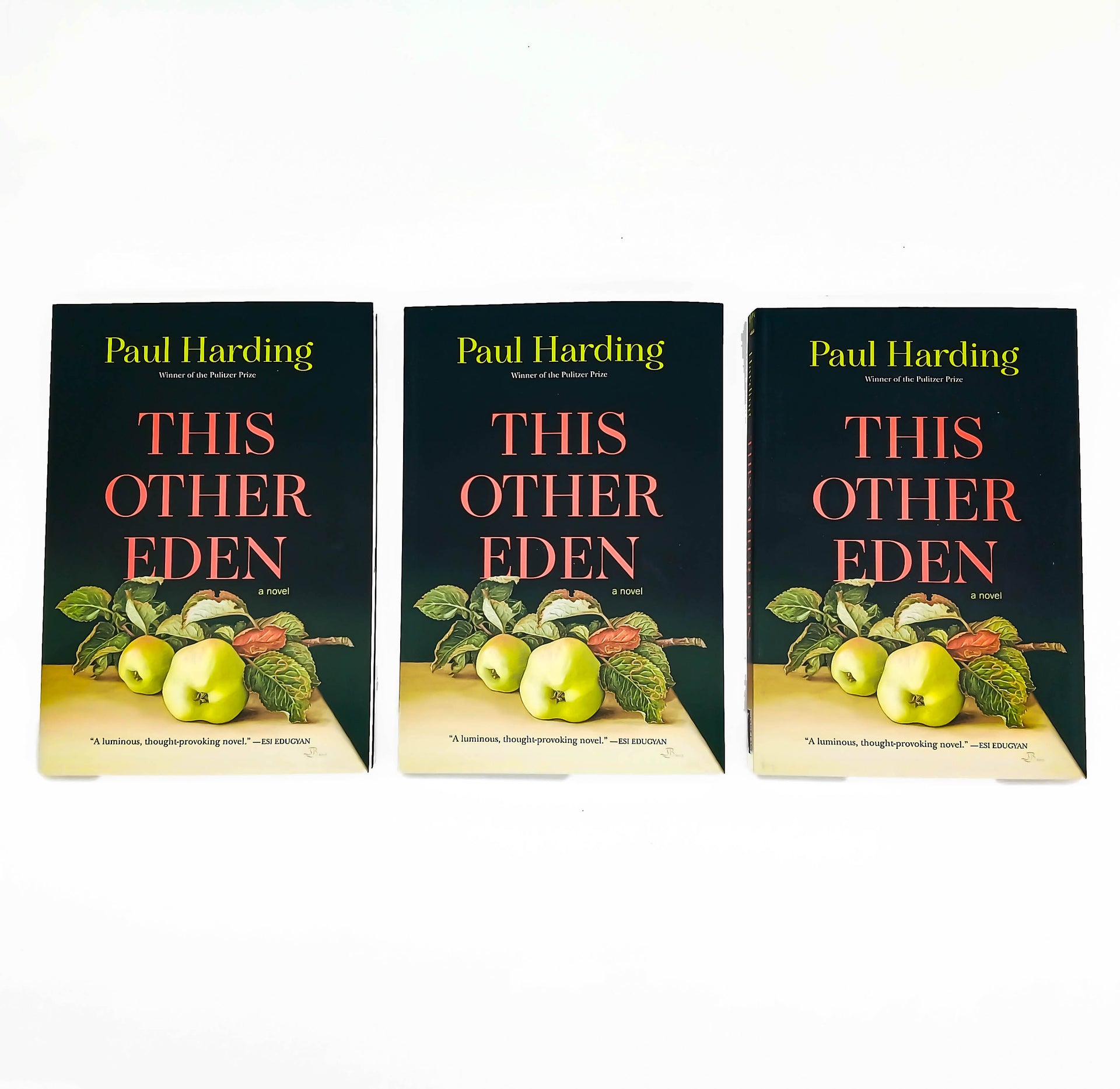 This Other Eden shortlisted for 2023 Booker Prize – Goose Lane Editions