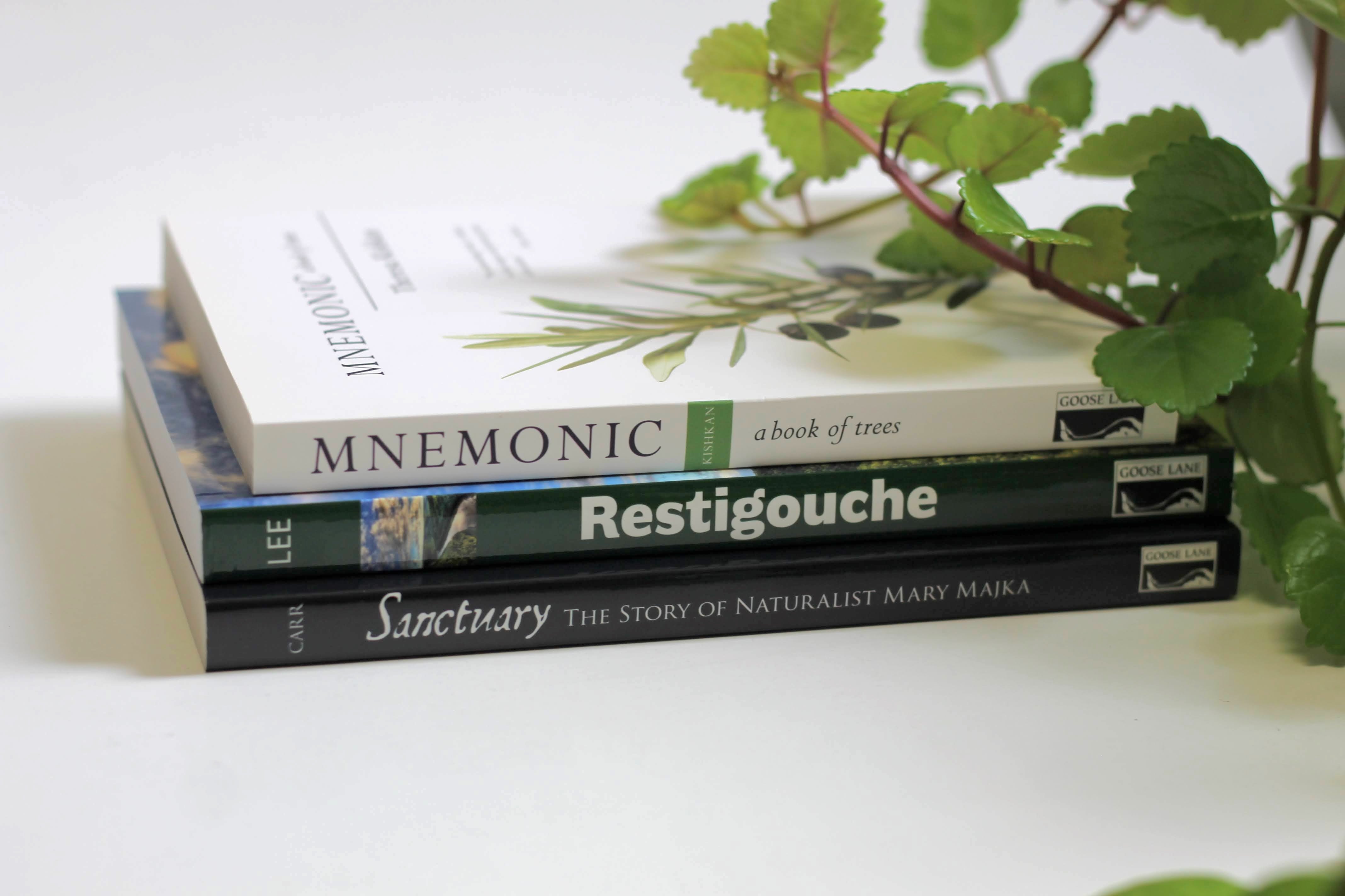 Into the Outdoors – Goose Lane Editions