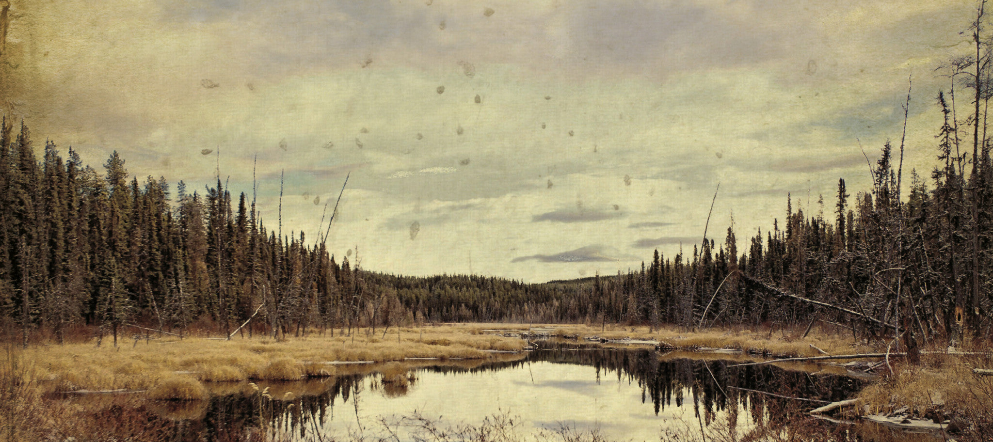 The Bastard of Fort Stikine Wins 2016 Book Award – Goose Lane Editions