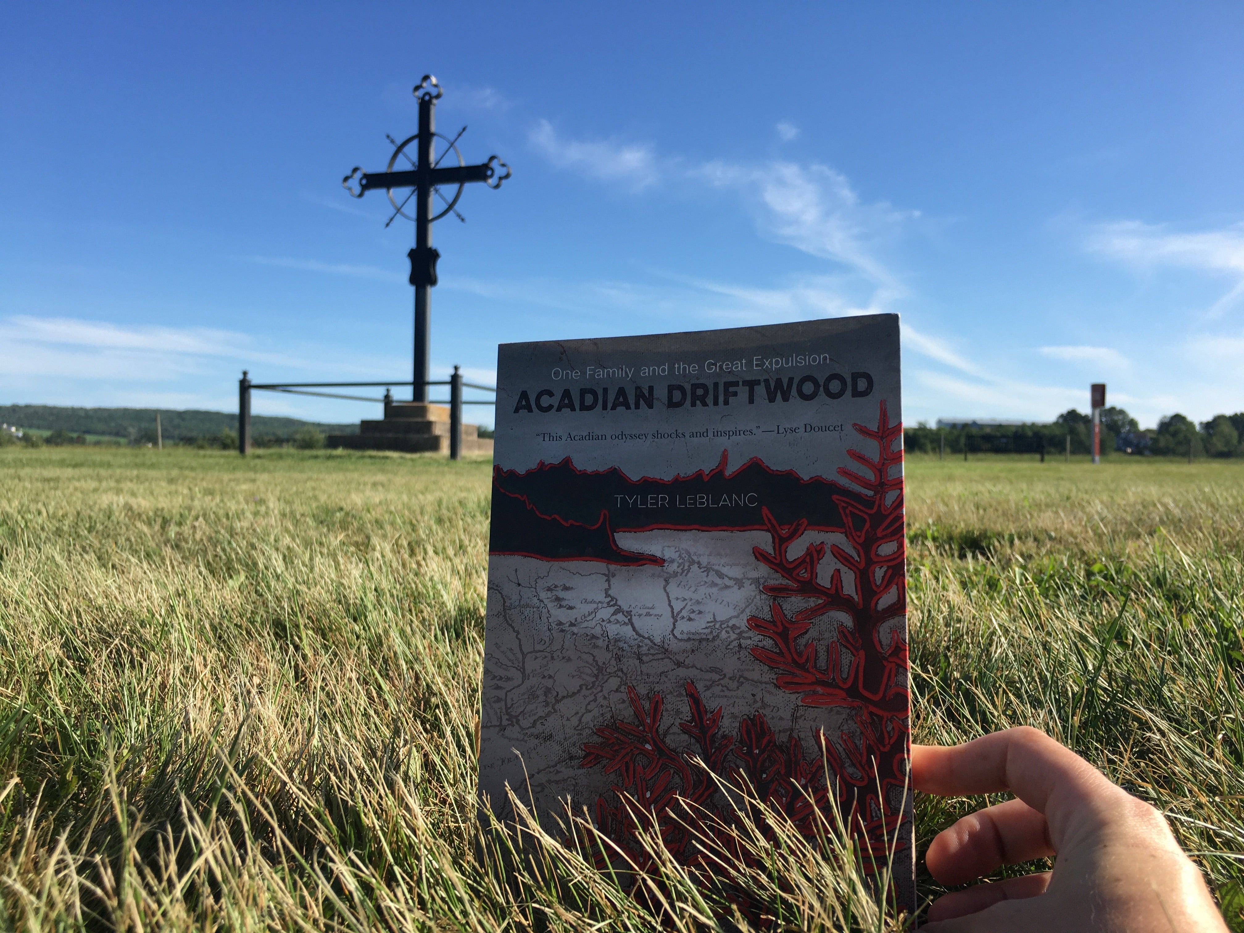 Rotting Fields of Wheat – Goose Lane Editions