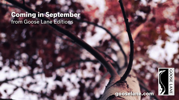 Coming in September – Goose Lane Editions