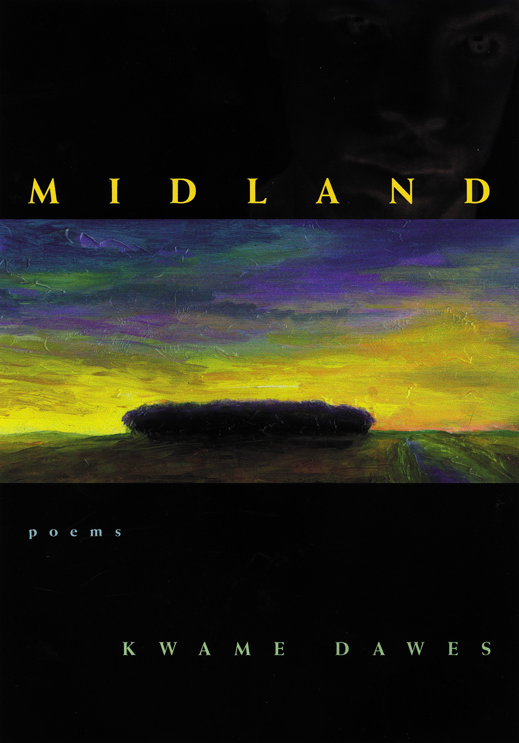 Midland – Goose Lane Editions